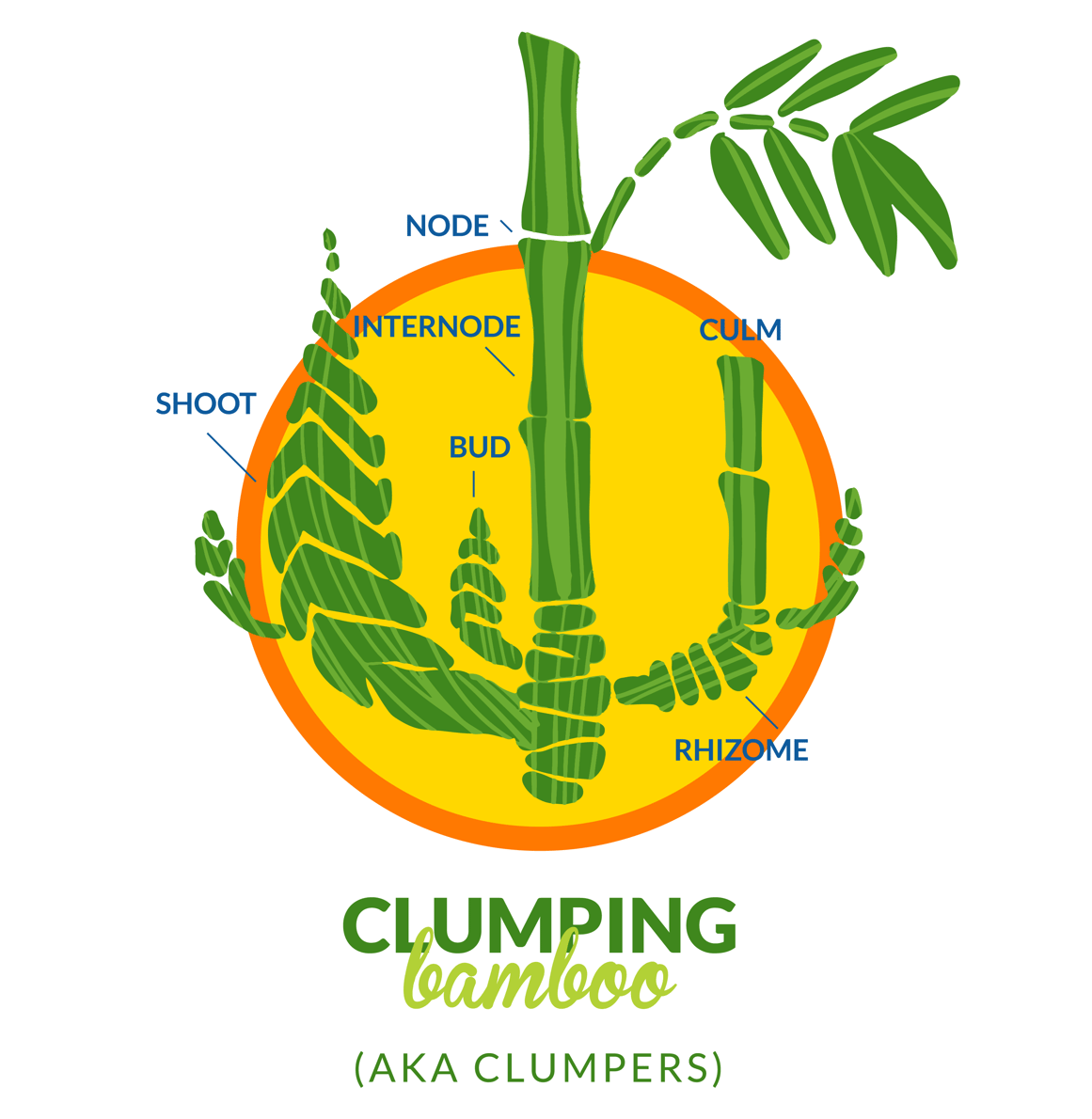 Clumpers vs. Runners