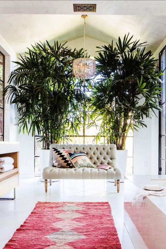 Make a Statement with Large Trees in Your Home
