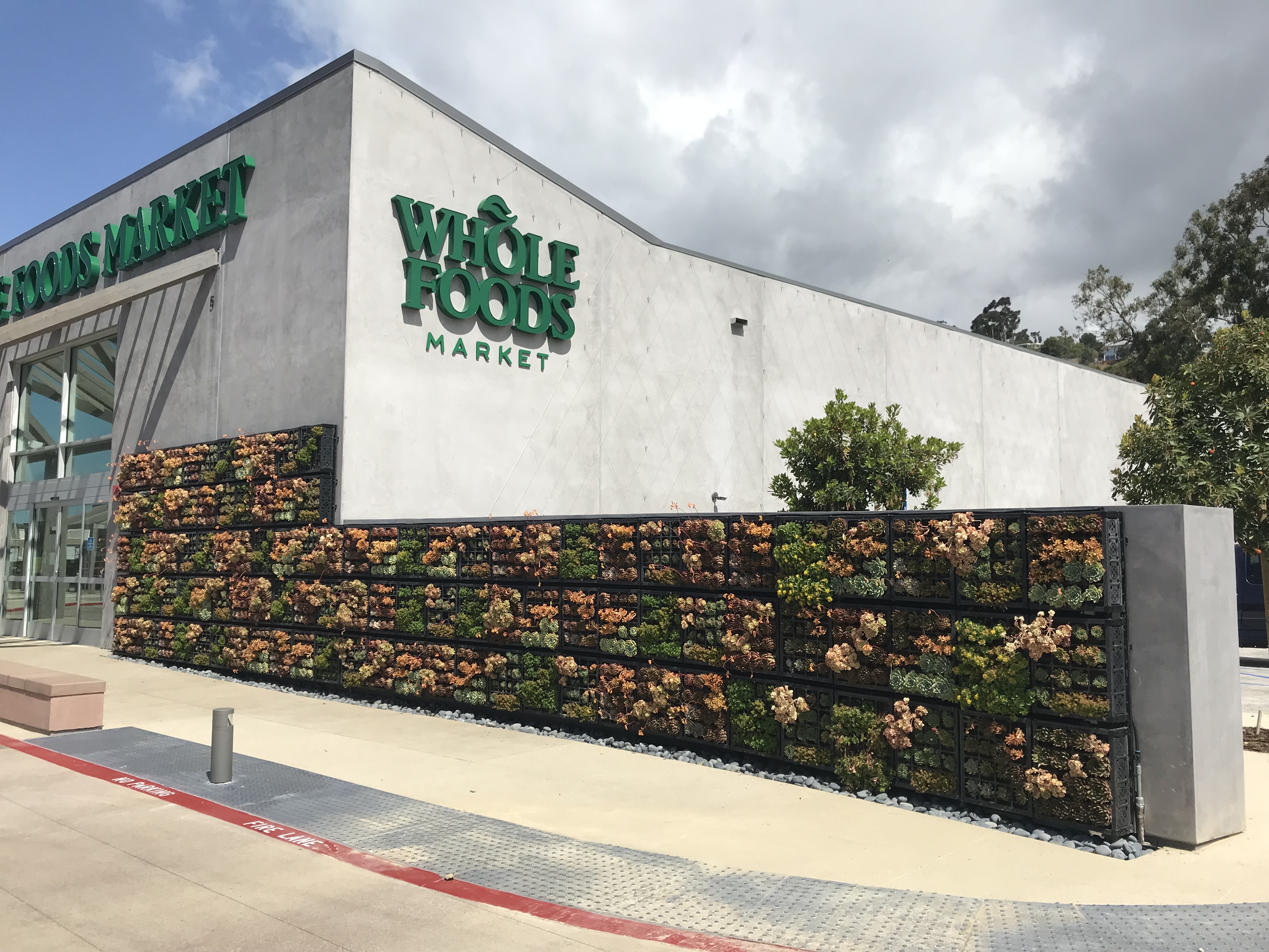 The Ultimate Guide to Living and Faux Walls