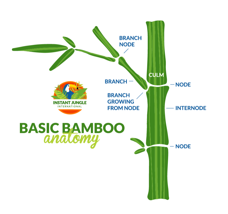 Clumpers vs. Runners